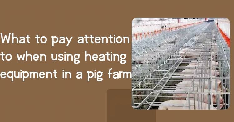 What to pay attention to when using heating equipment in a pig farm